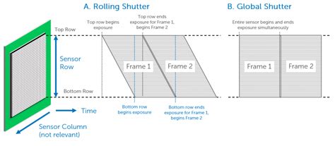 Top Considerations When Buying A Microscopy Camera Part 6 Global Vs Rolling Shutter Accu Scope