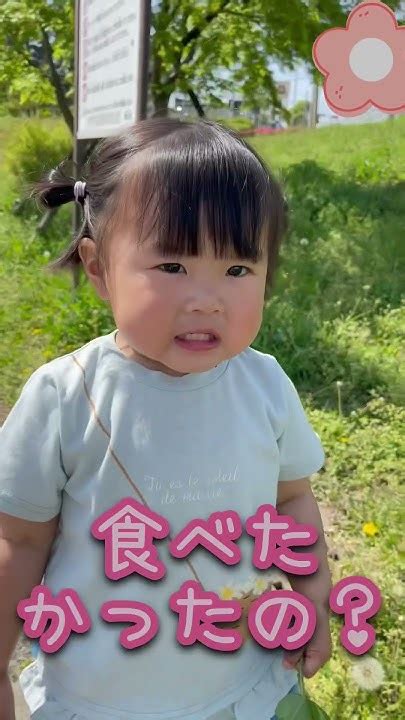 【まさかの行動】綿毛に夢中な2歳の娘☺️まさか〇〇ると思わなかった😅 Shortsさとのこちゃんねる 可愛い 子育て奮闘中 子育て