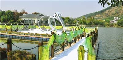 湖边亲水平台 亲水 亲水平面图 大山谷图库