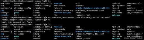 【自用】linux服务器部署oracle并使用数据库管理工具navicat远程连接（包含远程navicat配置）navicat连接liunx