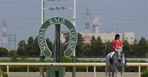 Ai指数表 1221 園田11r 兵庫ゴールドトロフィー｜競馬ai指数博士【ganko】｜note