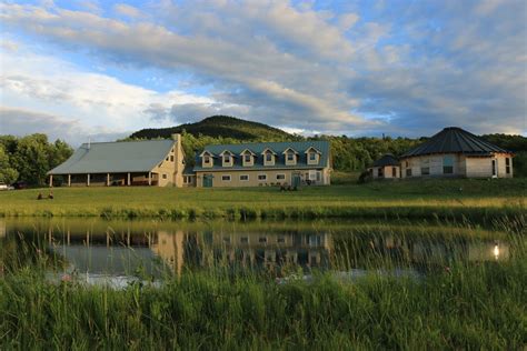 Github Monasticacademytap View Requests Made By Any Linux Program