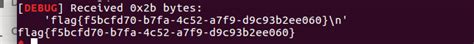 Buuctf Pwn——jarvisojlevel3x64level3x64 Ctf Csdn博客