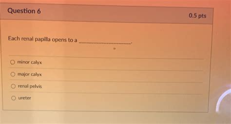 Solved Question 60 5 PtsEach Renal Papilla Opens To A Chegg