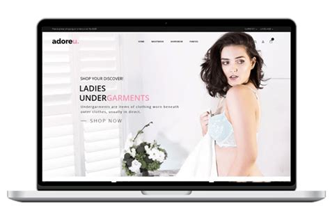 Adult Entertainment Website Development Company