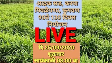Live Farmers New Technical Information Youtube