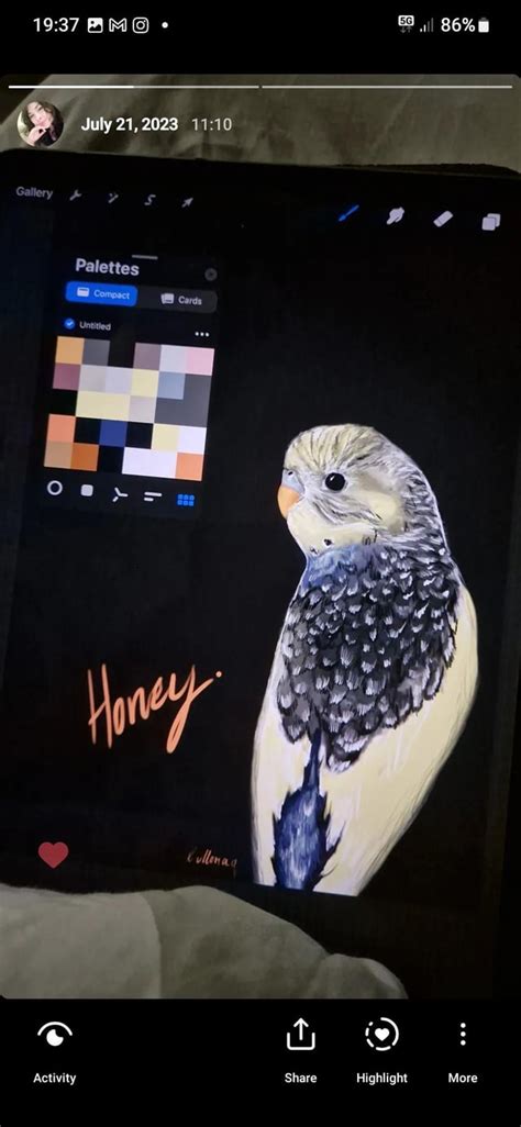 I Draw Reddit Users Birds ️ Pt2 Rcockatiel