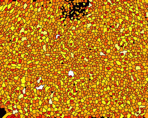 Examples Cellprofiler