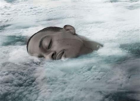 Bebe Beluga Imagens Download Grátis No Freepik