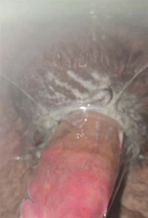 Clear Inflatable Fun