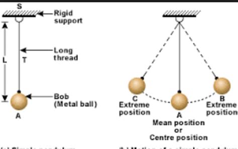 Amplitude Time Period And Frequency Of Vibration Class 8 Sound