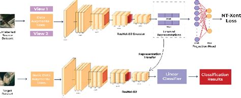 Domain Adaptable Self Supervised Representation Learning On Remote