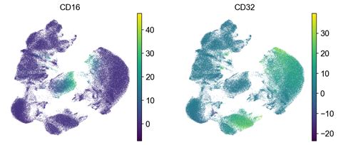 37 Annotation Single Cell Best Practices