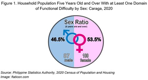 Persons With Functional Difficulty In Caraga Based On The 2020 Census Of Population And Housing