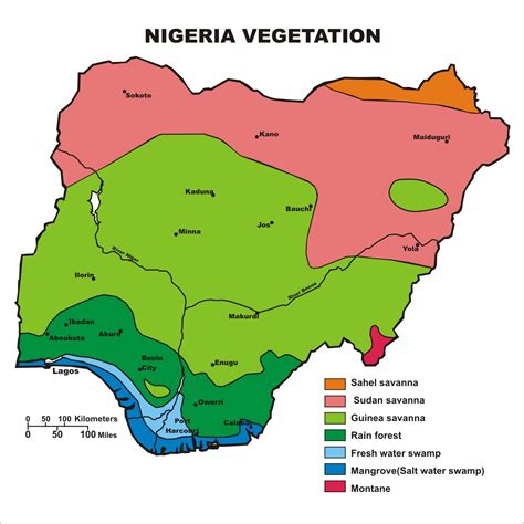 Nigeria Vegetation Map Eps Illustrator Map Digital Maps Netmaps Uk Riset