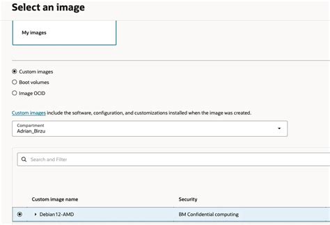 Oracle Cloud Infrastructure Compute Shapes By Birzu Alexandru Adrian