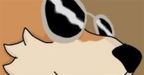 Shibas Album On Imgur