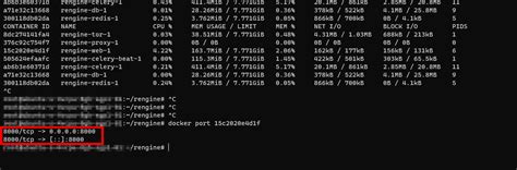 Bug Title Of Bug Issue 852 Yogeshojha Rengine GitHub