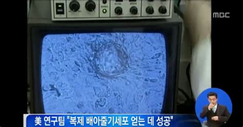 인간 배아줄기세포 복제 성공상용화는 언제 되나