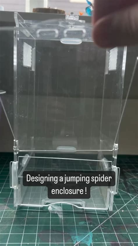 The Process Of Remaking My Spiders Enclosure R Jumpingspiders
