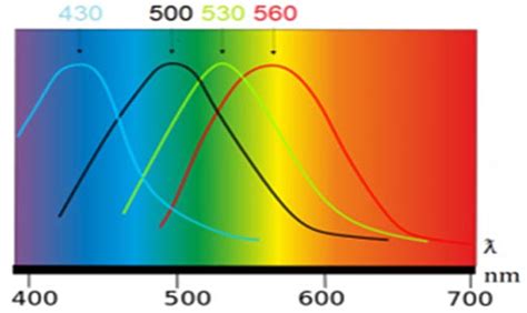 Test Oligoscan Test Mineralov Oligoscan