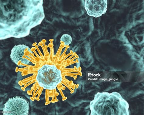 바이러스 감염 3d 렌더링을 싸우는 면역 세포 세포에 대한 스톡 사진 및 기타 이미지 세포 T세포 디지털 생성 이미지 Istock