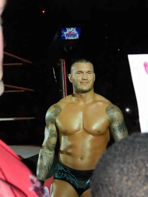Pin On Randy Orton Sexy