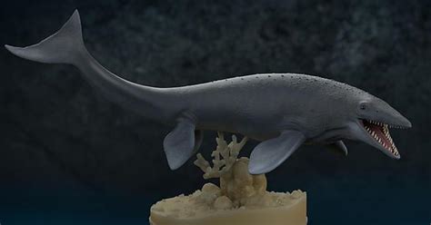 Hainosaurus Boubker 3d Printable Model By Miniature Museum Album On Imgur