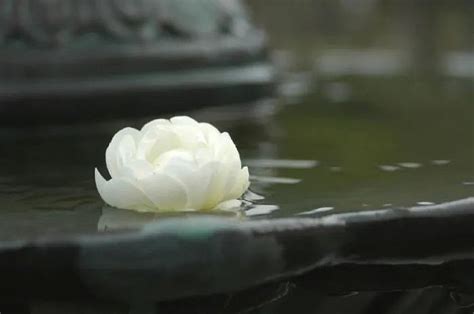 读懂《滕王阁序》的10句名言，就可以笑对人生 如果要评选中国最美的一篇古文。那么，《滕王阁序》一定能上榜。工整的对偶，华丽的词藻，让人赞叹不绝