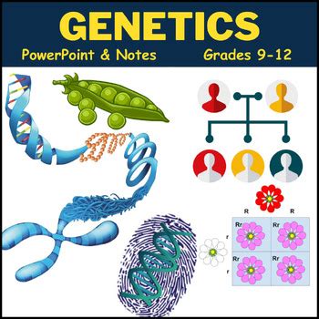 Genetics Unit PowerPoint And Notes By Scholarly Biology TPT