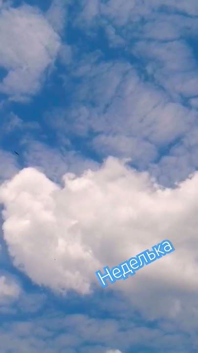 парящий сокол в небесах полет Youtube