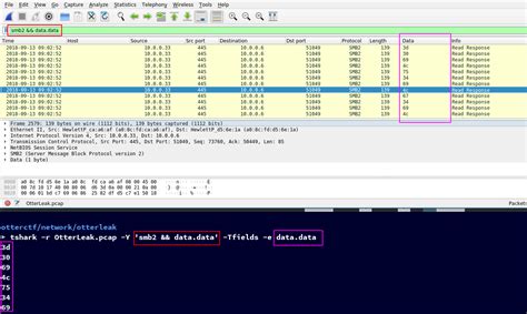 Reverse Engineering From Wireshark Pcap Wspaas