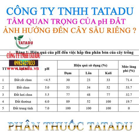 TẦM QUAN TRỌNG CỦA pH ĐẤT ẢNH HƯỞNG ĐẾN CÂY SẦU RIÊNG