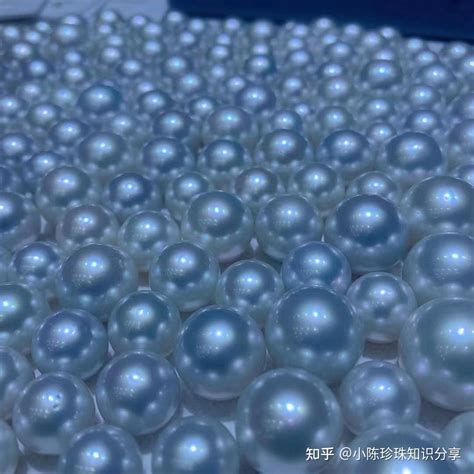 珍珠之王—南洋白珠（澳白） 知乎