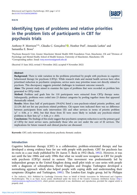 pdf identifying types of problems and relative priorities in the