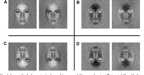 Figure 3 From The Effects Of Face Inversion And Contrast Reversal On Efficiency And Internal