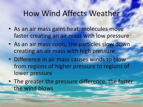 How Does Wind Affect The Environment At Fred Grant Blog