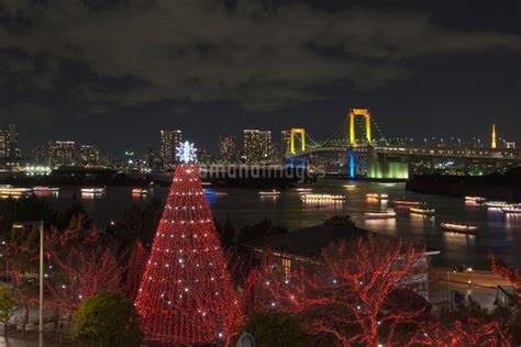 クリスマスイルミ台場メモリアルツリーとレインボーブリッジ夜景の写真素材 FYI01647288 ストックフォトの Qlean