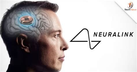 Elon Musk The First Human Implanted With A Neuralink Chip Has Recovered And Can Now Control A