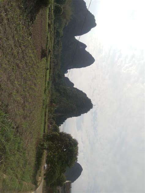 边关的景色 每日头条