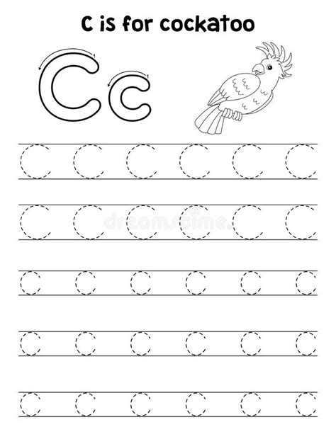 Cockatoo Animal Tracing Letter Abc Coloring C Stock Vector