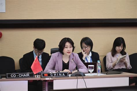 侯艳琪大使主持第26次中国东盟联合合作委员会会议中华人民共和国驻东盟使团