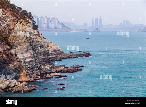 Busan South Korea Coastal Landscape With Rocky Slopes Of Dongbaek