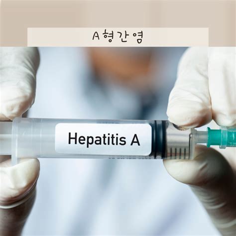 A형간염 원인 초기 증상 전염 격리 치료 및 예방 접종 백신 간격 가격 항체 간단하게 볼까 네이버 블로그