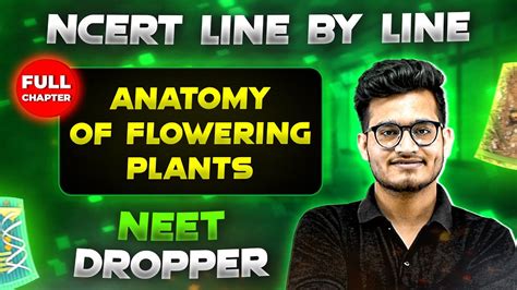 Anatomy Of Flowering Plants FULL CHAPTER NCERT Class Th Botany Chapter Yakeen NEET