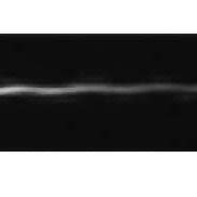Schematic Representation Of SPP Excitation Fig 2 SPP Propagation Download Scientific Diagram