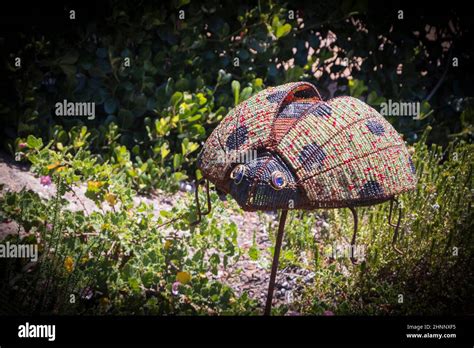 Decorative Insect The Garden Flowerbed Spider Dragonfly Cockroach
