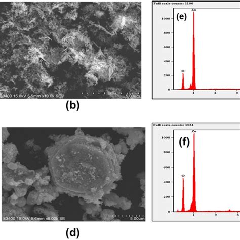 SEM Images A B Undoped ZnO C D 5 Wt Cu Doped ZnO EDS Of E Undoped
