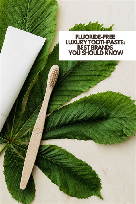Fluoride Free Luxury Toothpaste Best Brands You Should Know Its Me