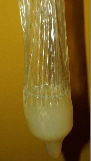 Aquilifer Used Condoms